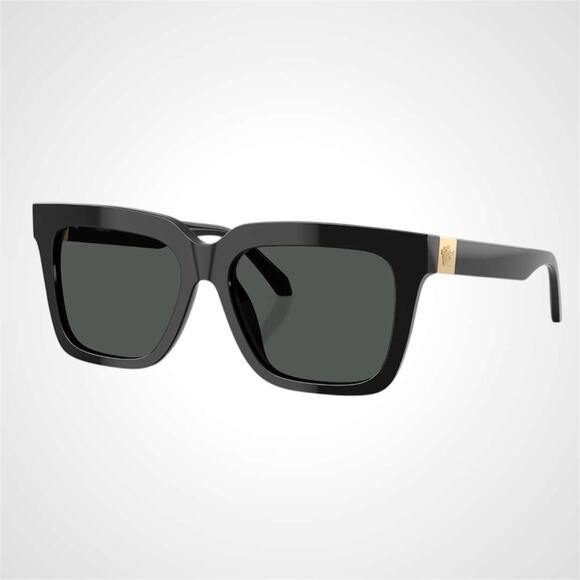 Versace | Accessories | New Versace Sunglasses Black Acetate Square ...